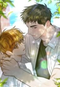 Plum Candy Love – Yaoi BL Manhwa français